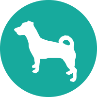 Shop - Devil Dog Design